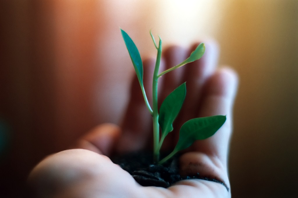 Growing Through Something - A True Love Fairytale / Lessons of Love